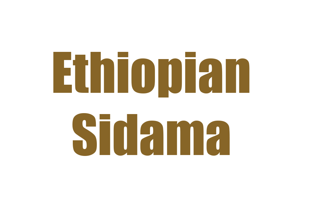 Ethiopian Sidama – Big Ridge Coffee